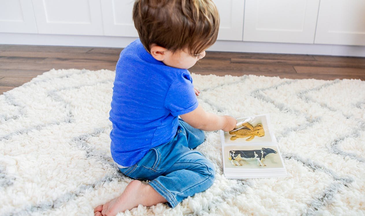 Teach kids how to read & speak with a picture book | Lovevery